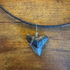 Shark Tooth Necklace| Men's, Woman's, Kid's| Real Fossil | Handmade ...