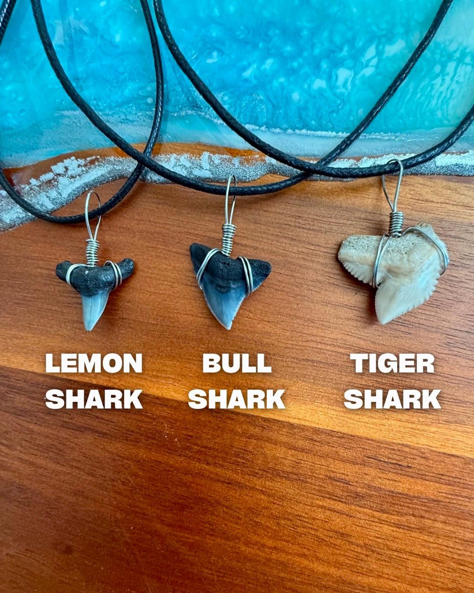 Shark Tooth Necklace| Men's, Woman's, Kid's| Real Fossil | Handmade ...