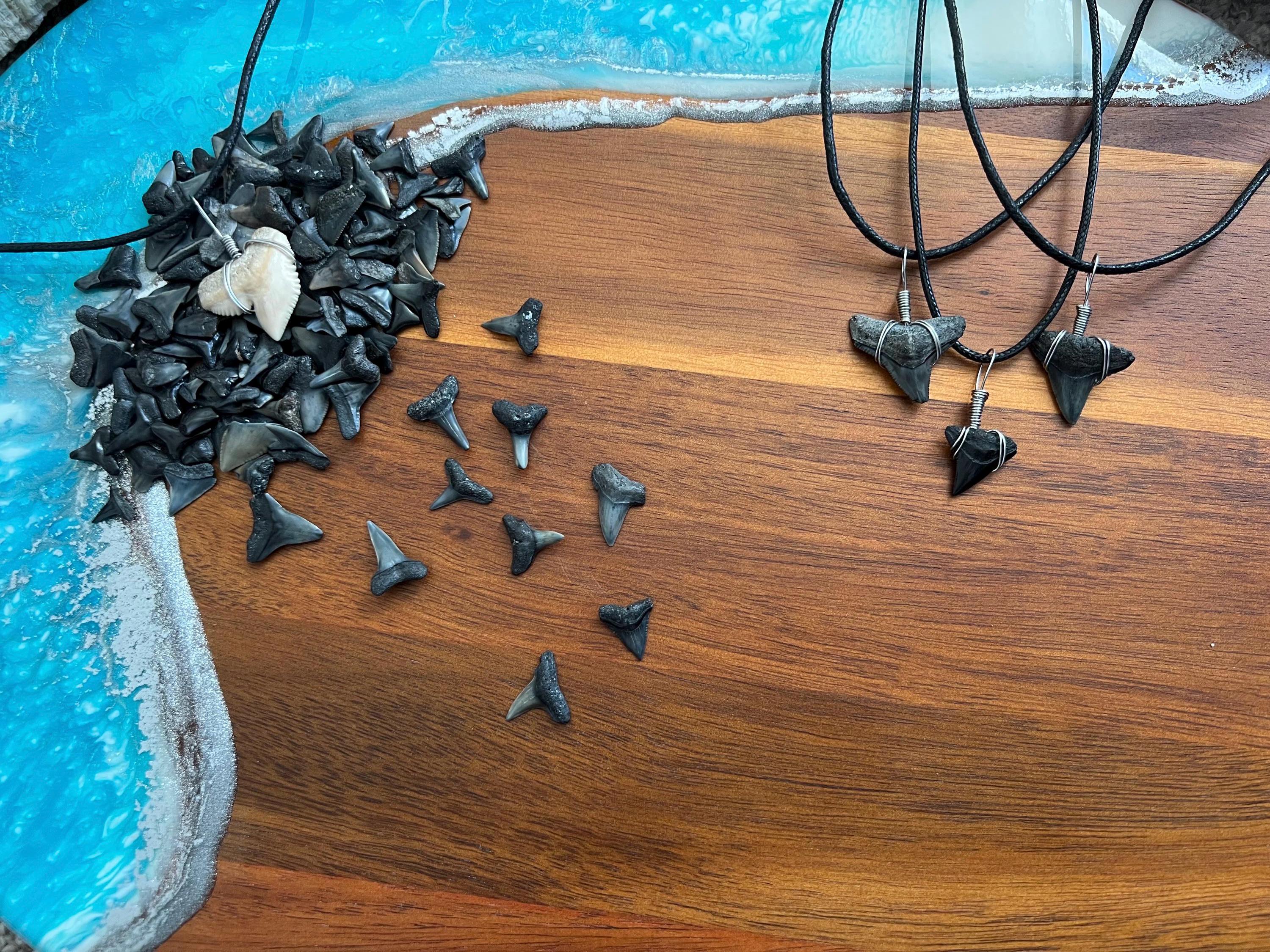Shark Tooth Necklace| Men's, Woman's, Kid's| Real Fossil | Handmade ...