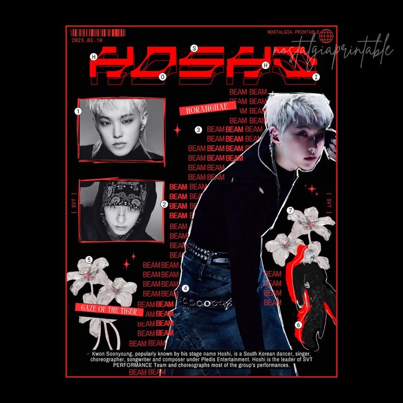 HOSHI X WOOZI Beam Poster Print | Seventeen SVT | Aesthetic Kpop Room Decor | Printable Kpop ...