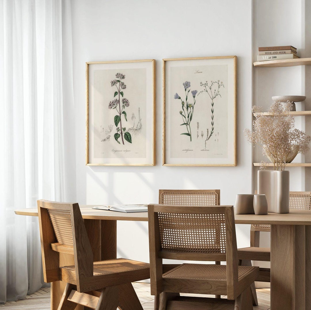 Set of 2 Antique Botanical Prints | Two Minimal Drawing Posters ...