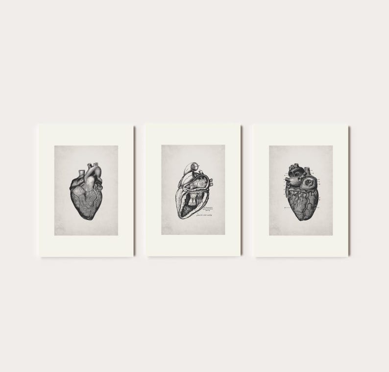 Set of 3 Antique Human Heart Illustration Prints | Surgery Poster, Dr ...