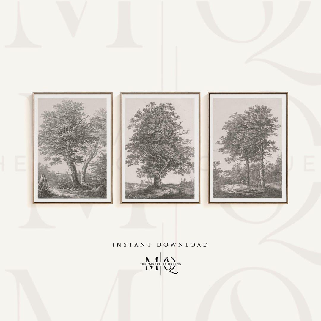 Set of 3 Vintage Tree Drawing Prints | Three Tree Sketch Poster Set, A2 ...