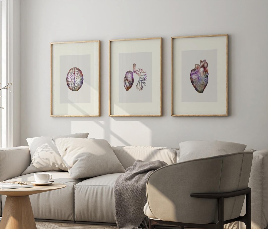 Set of 3 Multicolour Brain Heart & Lungs Illustration Prints ...