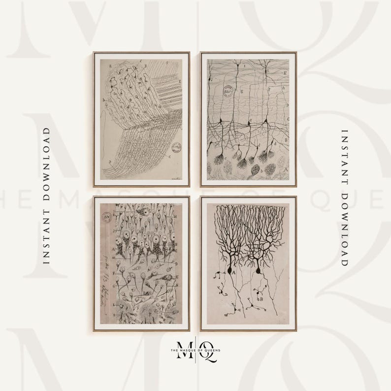 Set of 4 Santiago Ramon Y Cajal Anatomy Prints | Vintage Biology Room ...