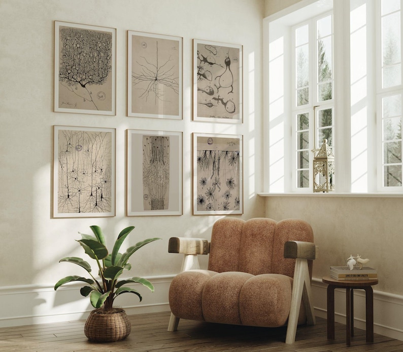 Set of 6 Santiago Ramon Y Cajal Antique Anatomy Prints | Vintage ...