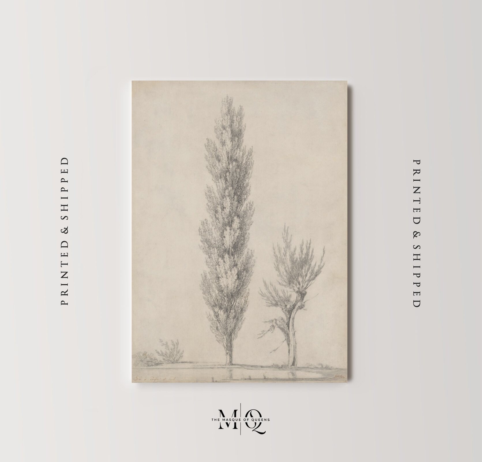 Set of 3 Vintage Tree Drawing Prints, Three Piece Tree Sketch Poster ...