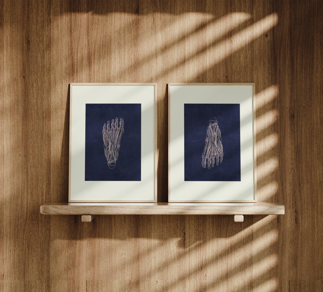 Set of 2 Foot Skeleton Prints | Blue Feet Bones Anatomy Drawing ...