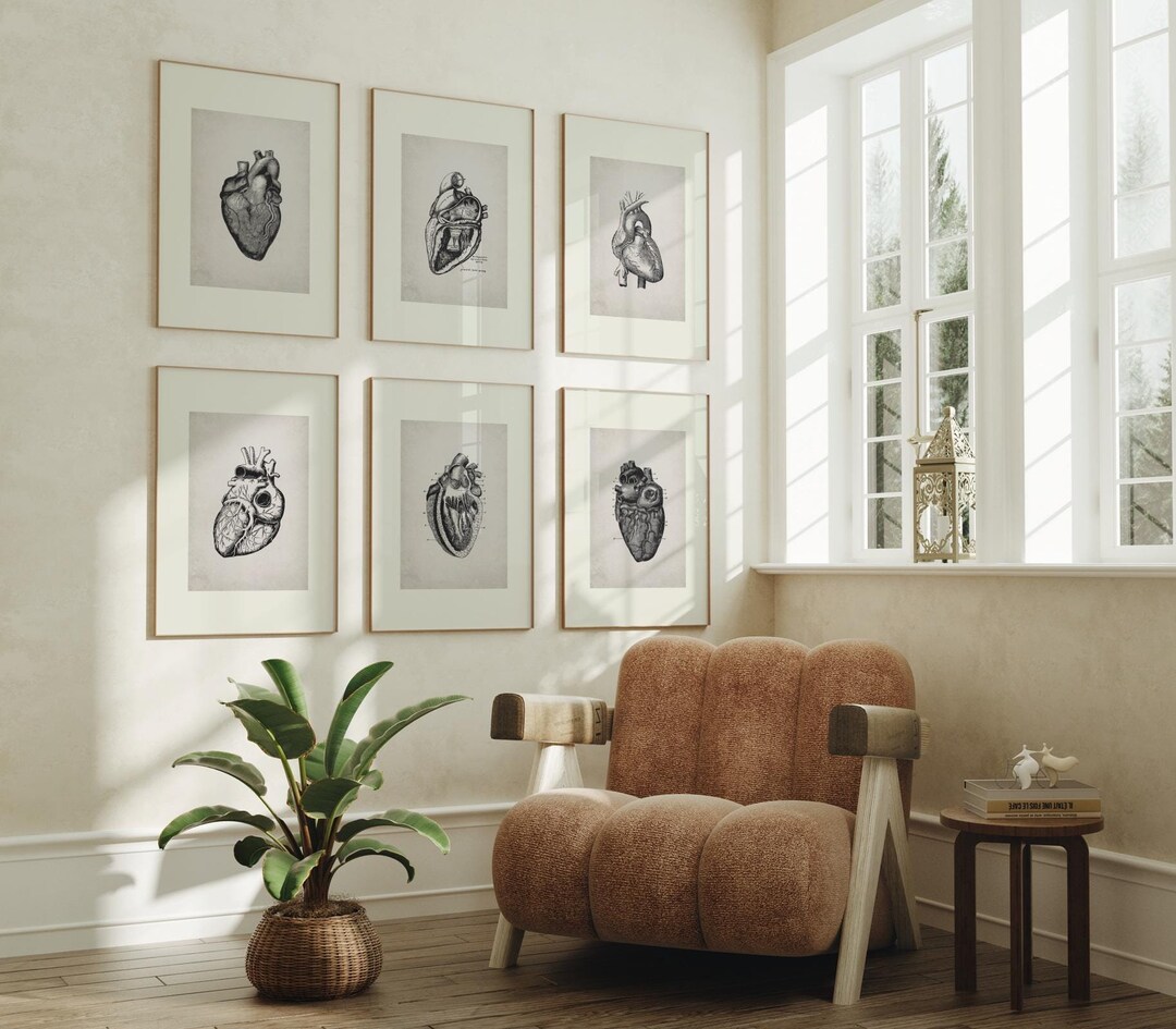 Set of 6 Antique Heart Illustration Prints | Cardiologist Wall Art ...