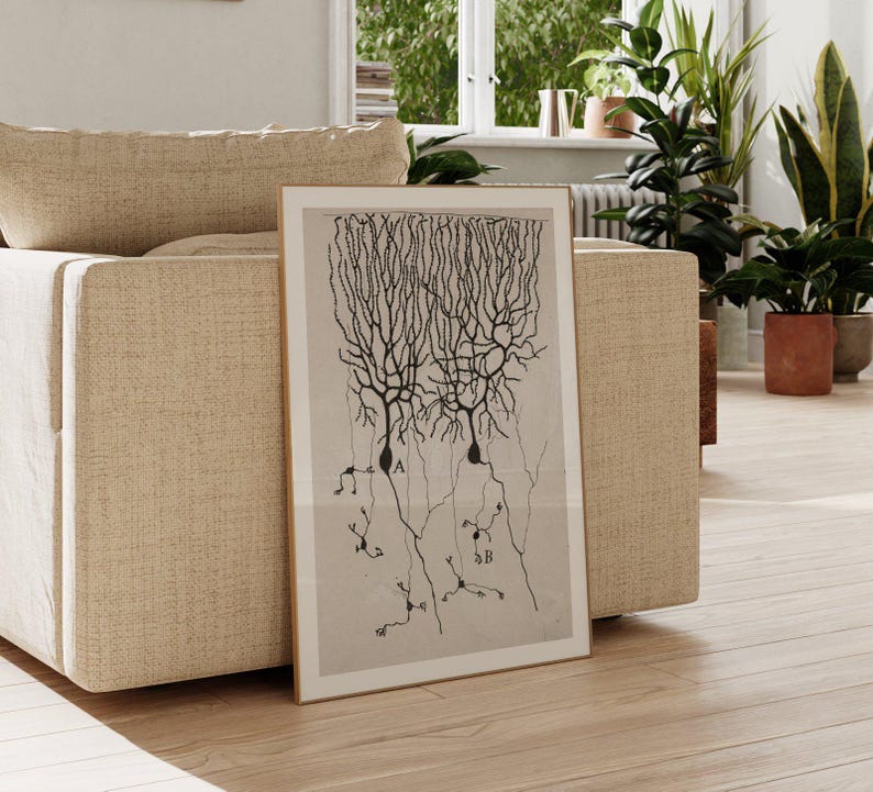Set of 4 Santiago Ramon Y Cajal Anatomy Prints | Vintage Biology Room ...