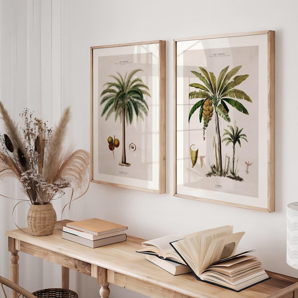 Vintage Coconut Tree - Etsy UK