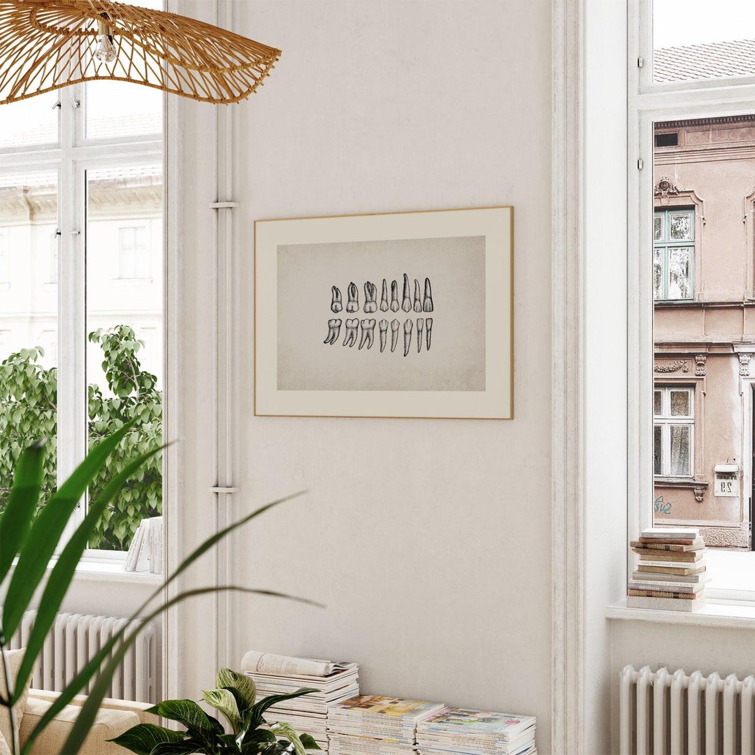 Vintage Teeth Print | Vintage Tooth Anatomy Illustration, Wall Art ...