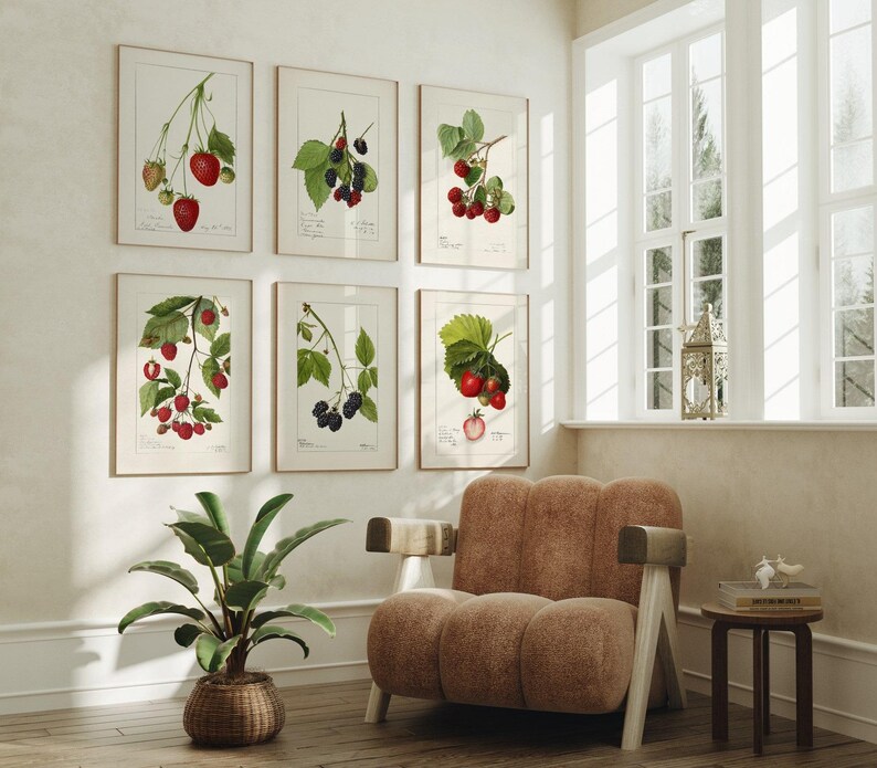 Set of 3 Vintage Fruit Drawing Prints | Three Berry Posters, Classroom ...