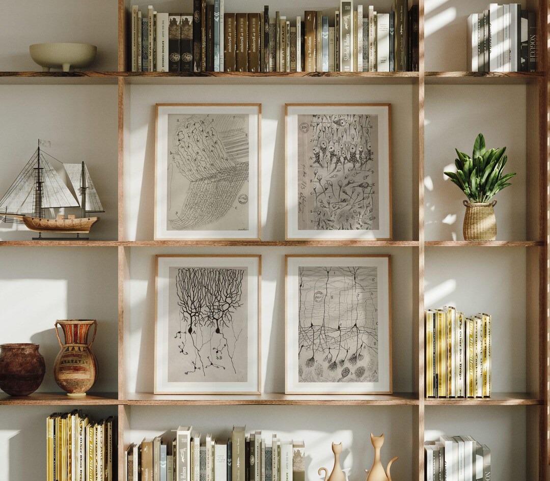 Set of 4 Santiago Ramon Y Cajal Anatomy Prints | Vintage Biology Room ...