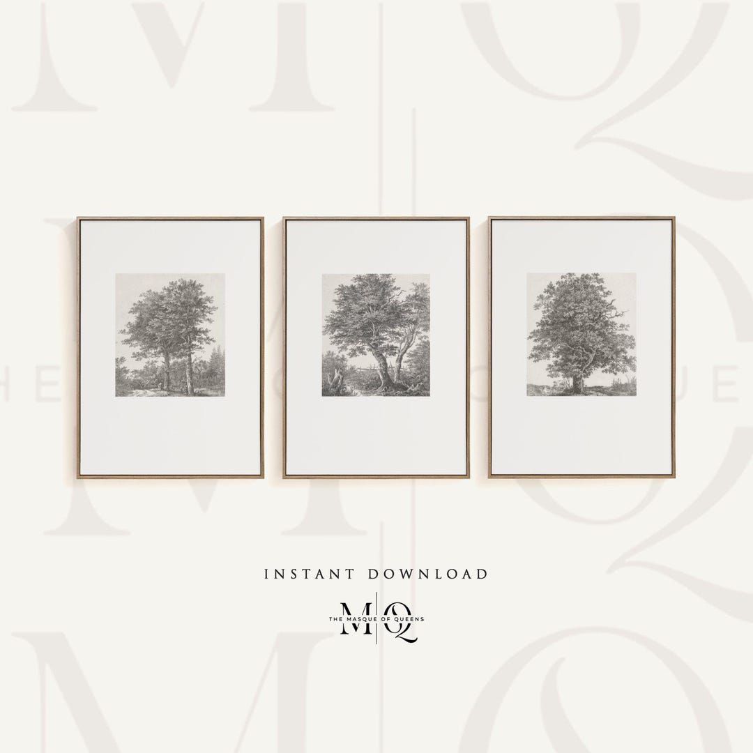 Set of 3 Vintage Tree Drawing Prints | Three Piece Tree Sketch Poster ...