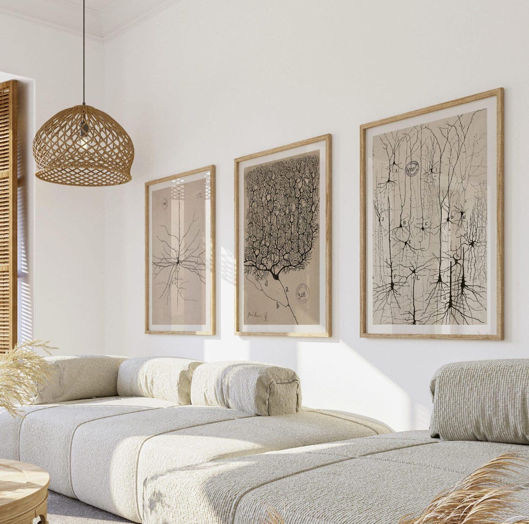 Set of 3 Santiago Ramon Y Cajal Antique Anatomy Prints | Vintage ...