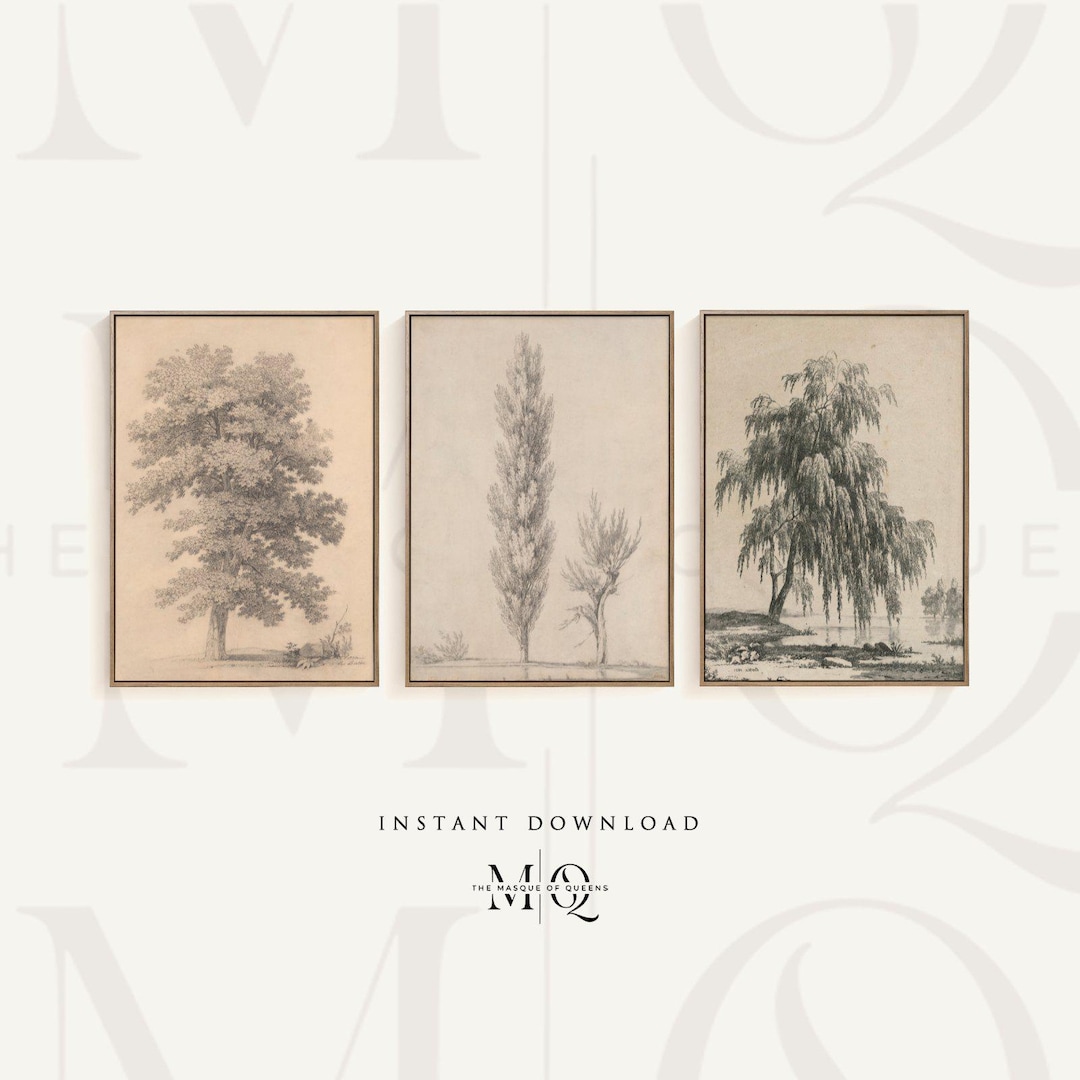Set of 3 Vintage Tree Drawing Prints, Three Piece Tree Sketch Poster ...