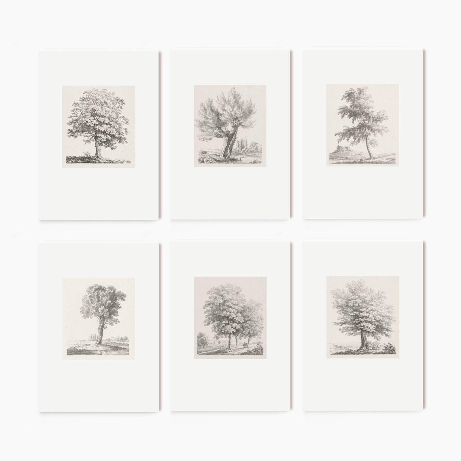Set of 6 Vintage Tree Drawing Prints | Six Piece Tree Pencil Sketch ...