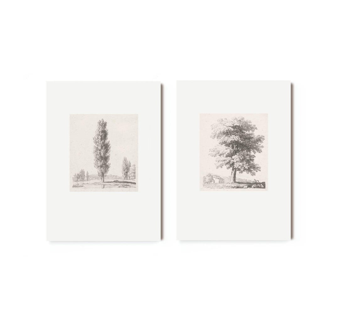 Set of 2 Antique Oak Tree Study Drawing Prints | Two Matching Pencil ...