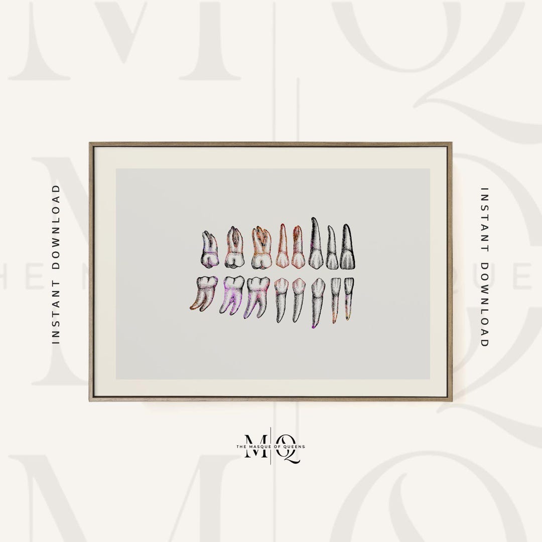 Multicolour Teeth Print | Vintage Tooth Anatomy Illustration, Dr Wall ...