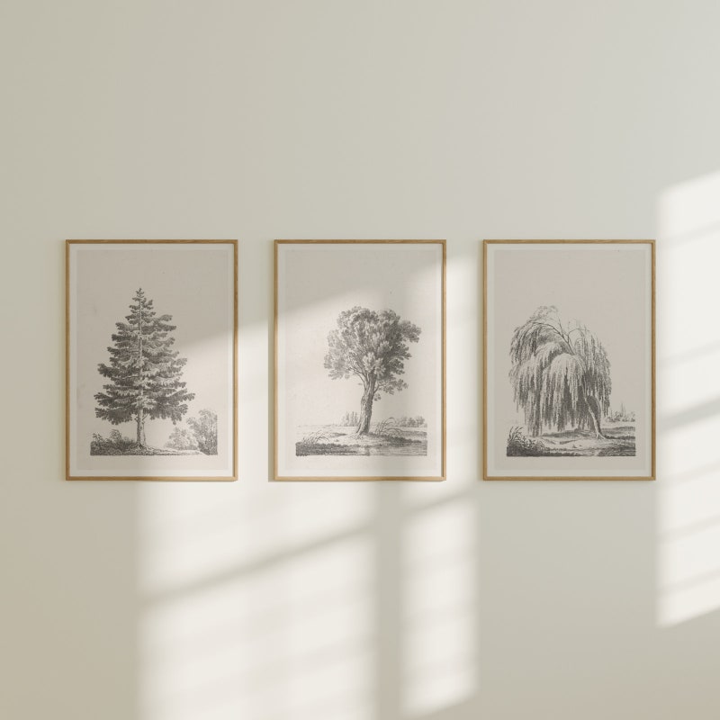 Set of 3 Prints - Etsy