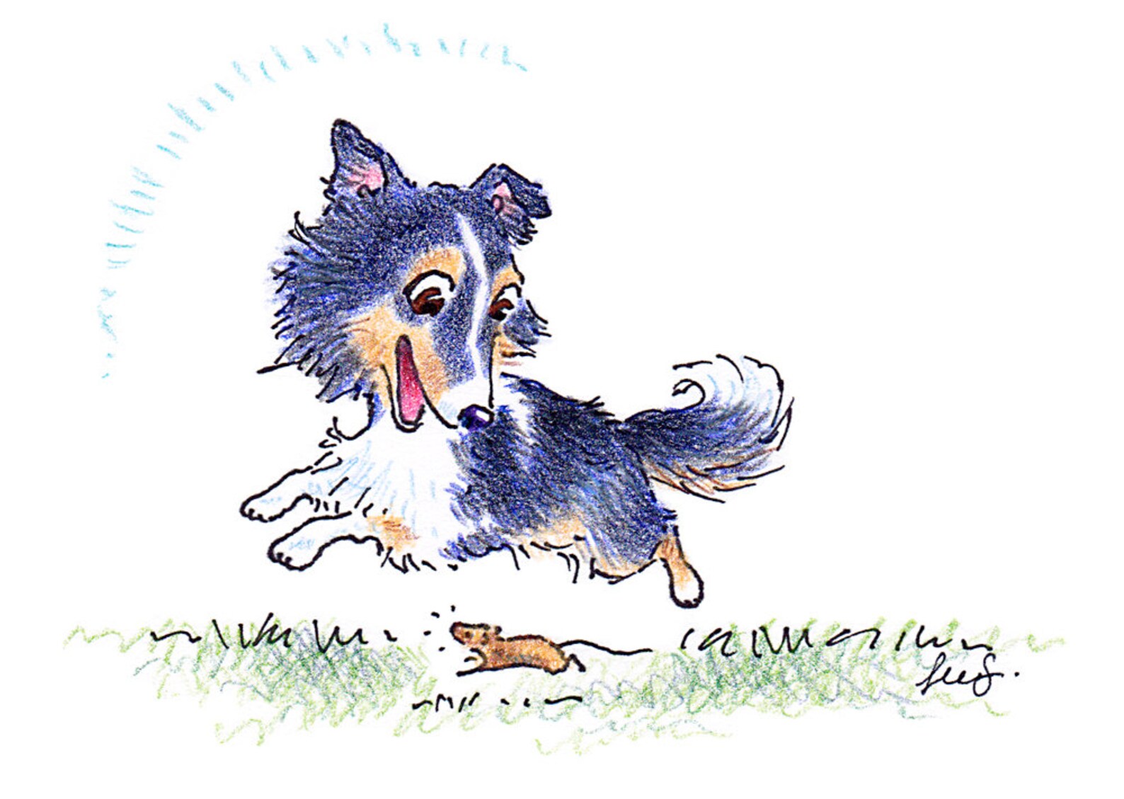 Shetland Sheepdog (sheltie) Notecards (set of 6) - Etsy