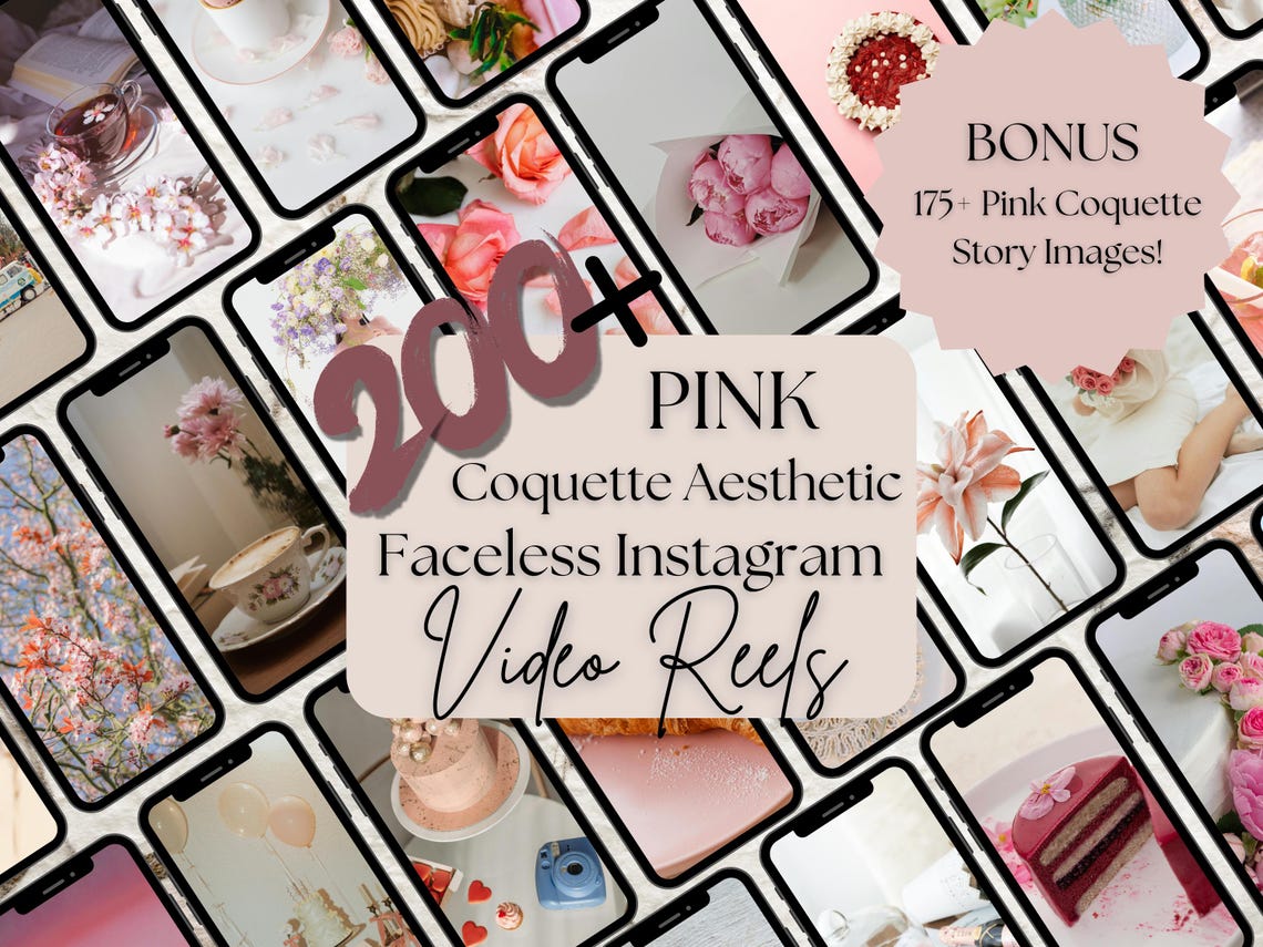 200+ Pink Coquette Aesthetic Video Reels With BONUS 175+ Bonus Story ...