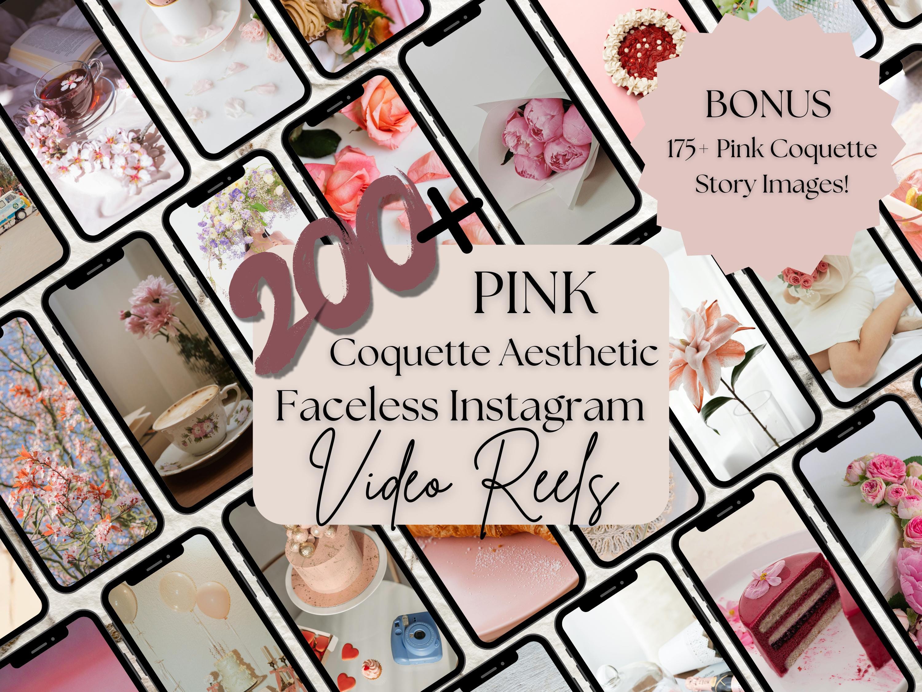 200+ Pink Coquette Aesthetic Video Reels With BONUS 175+ Bonus Story ...