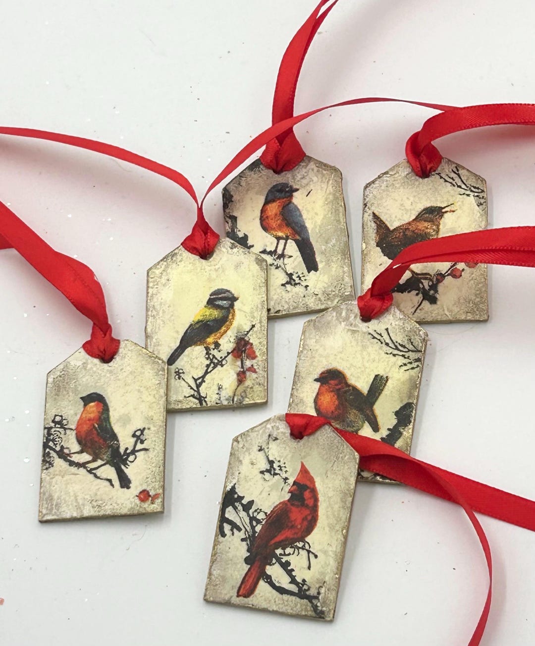 Set of 6 Wooden Bird Themed Gift Tags. Eco Friendly Reusable Gift Tags ...