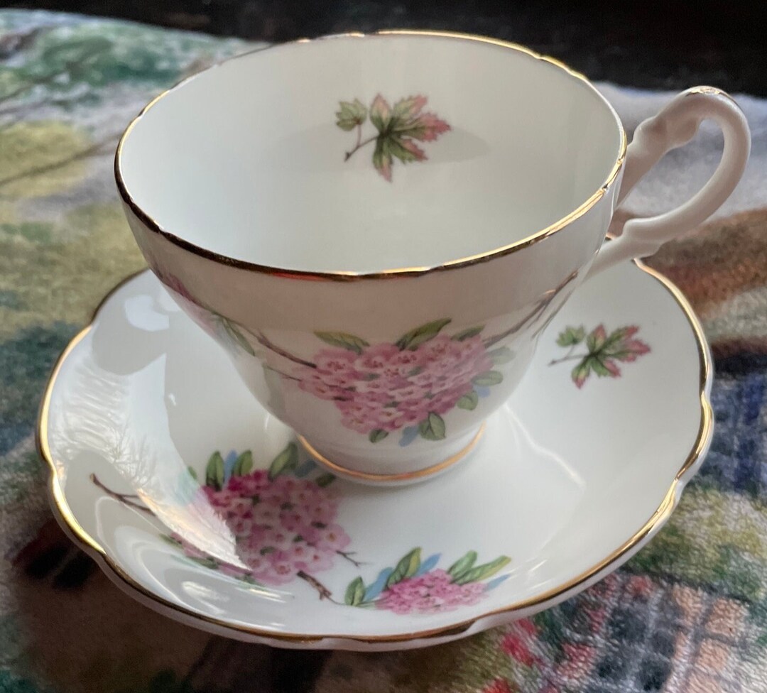 Vintage Regency Tea Cup and Saucer Bone China From England With Gold ...