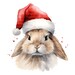 10 Christmas Bunny Clipart - Holiday Bunny With Santa Hat (PNG/JPG ...