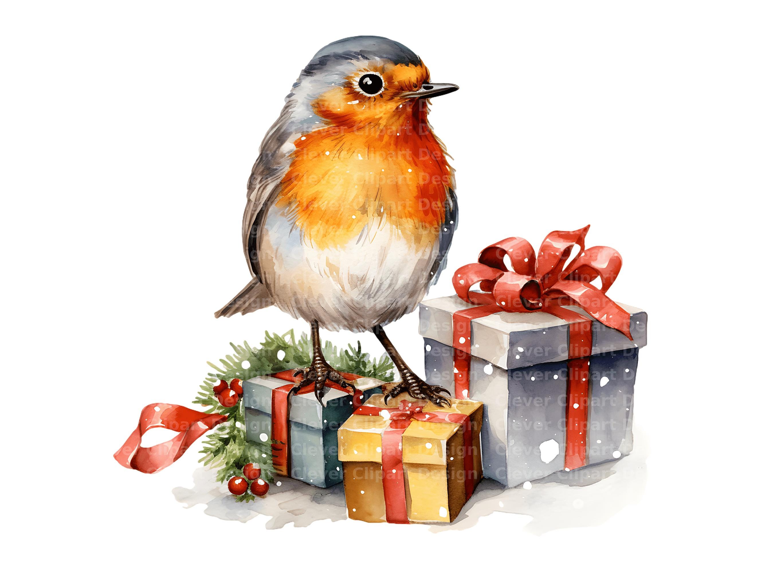 10 Christmas Robin Clipart, Robin in Santa Hat, Winter Robin PNG ...