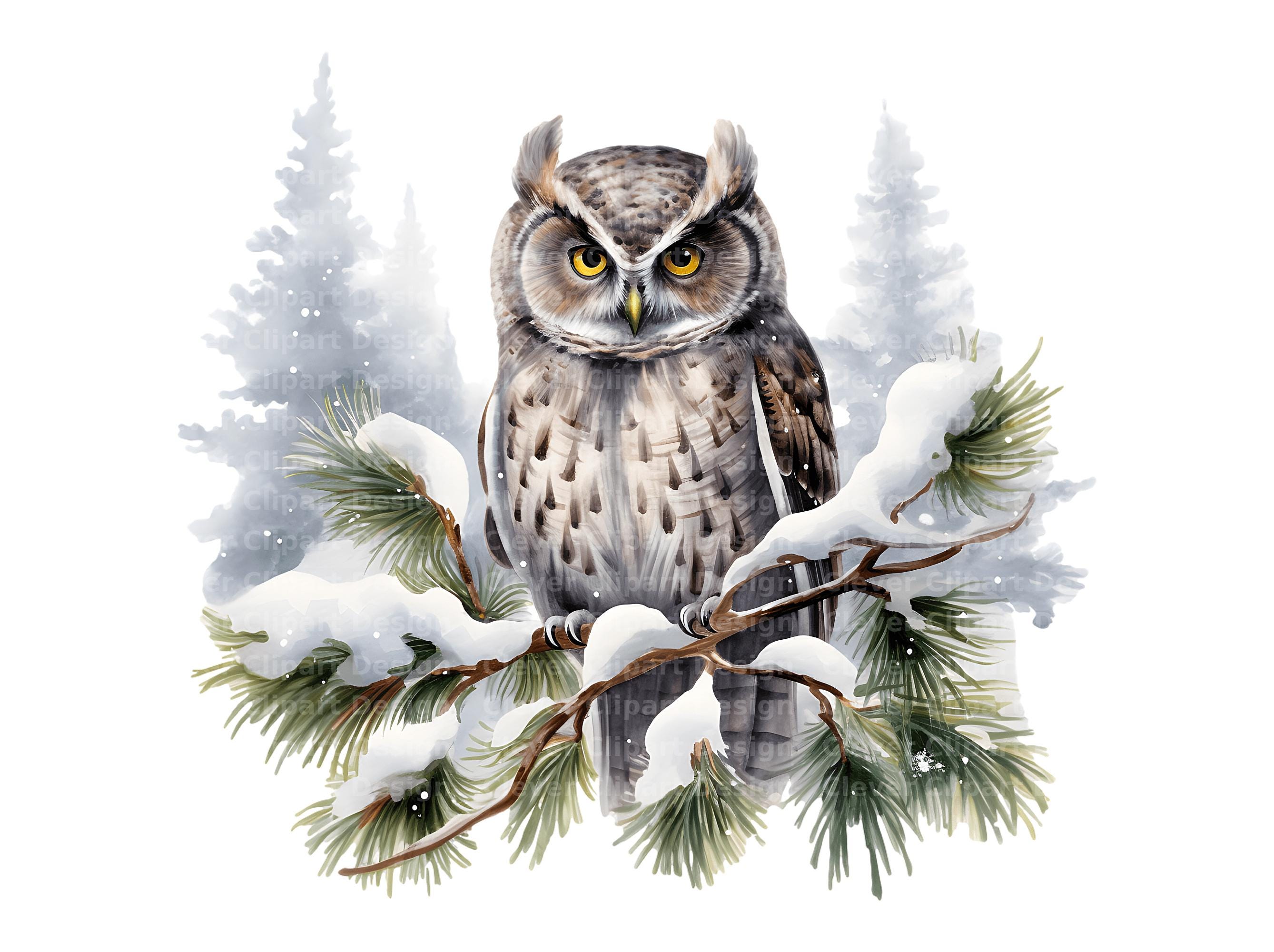 10 Winter Owl Clipart, Snow Owl Clipart, Owl on Snowy Branch, Owl PNG ...