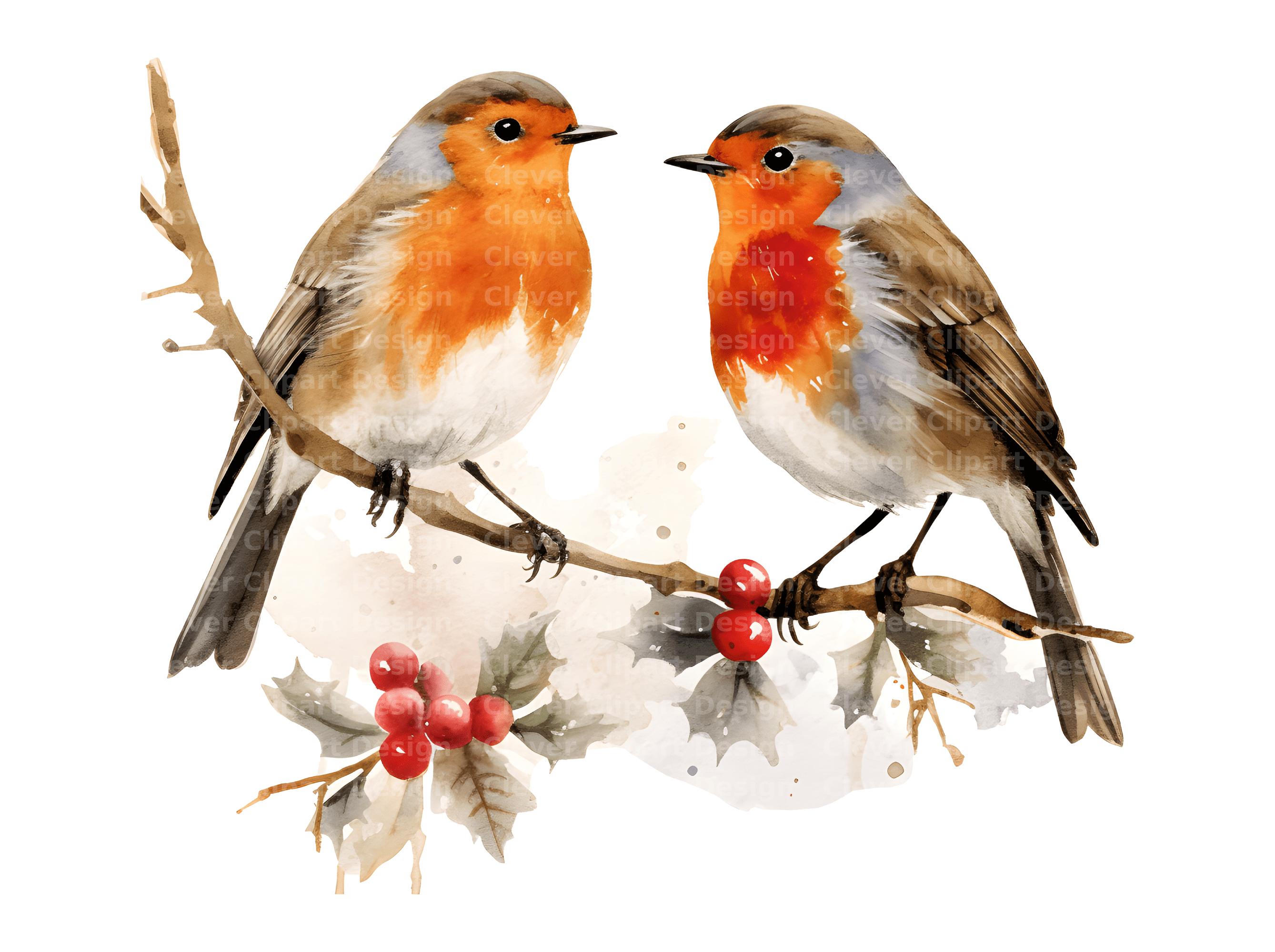 10 Christmas Robin Clipart, Winter Robin PNG, Robin Couple Clipart ...