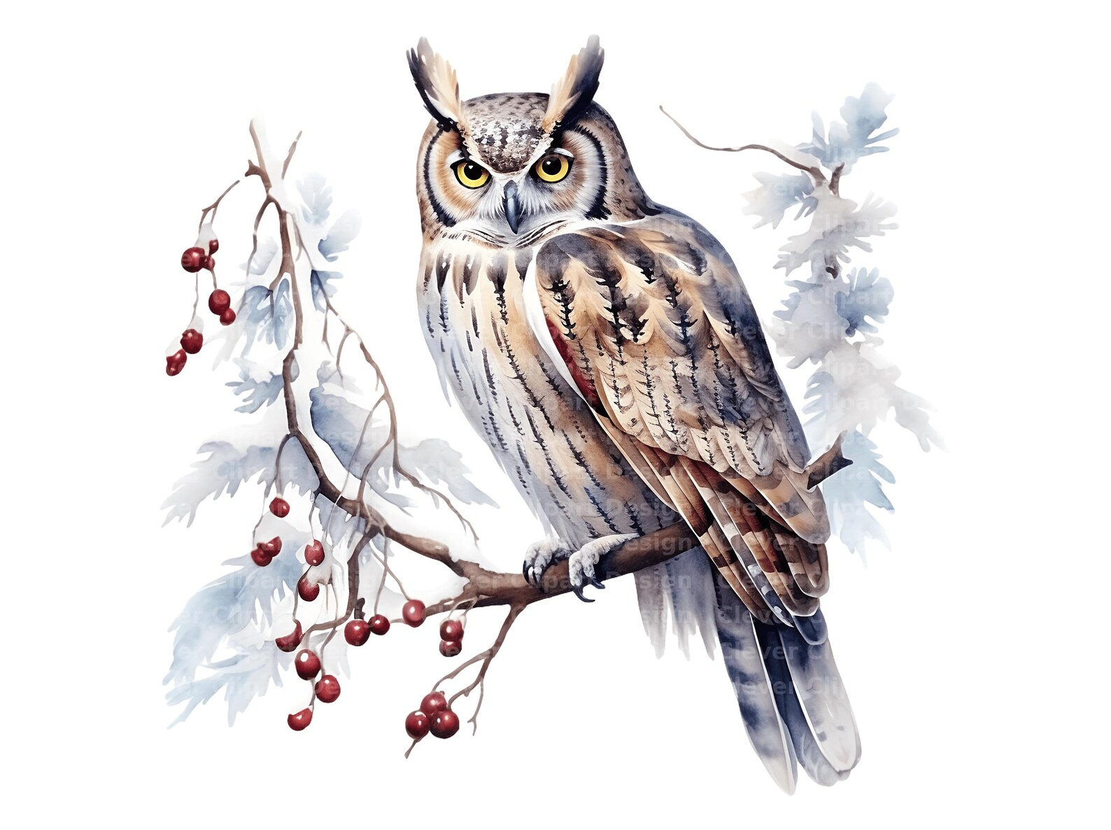 10 Winter Owl Clipart, Snow Owl Clipart, Owl on Snowy Branch, Owl PNG ...