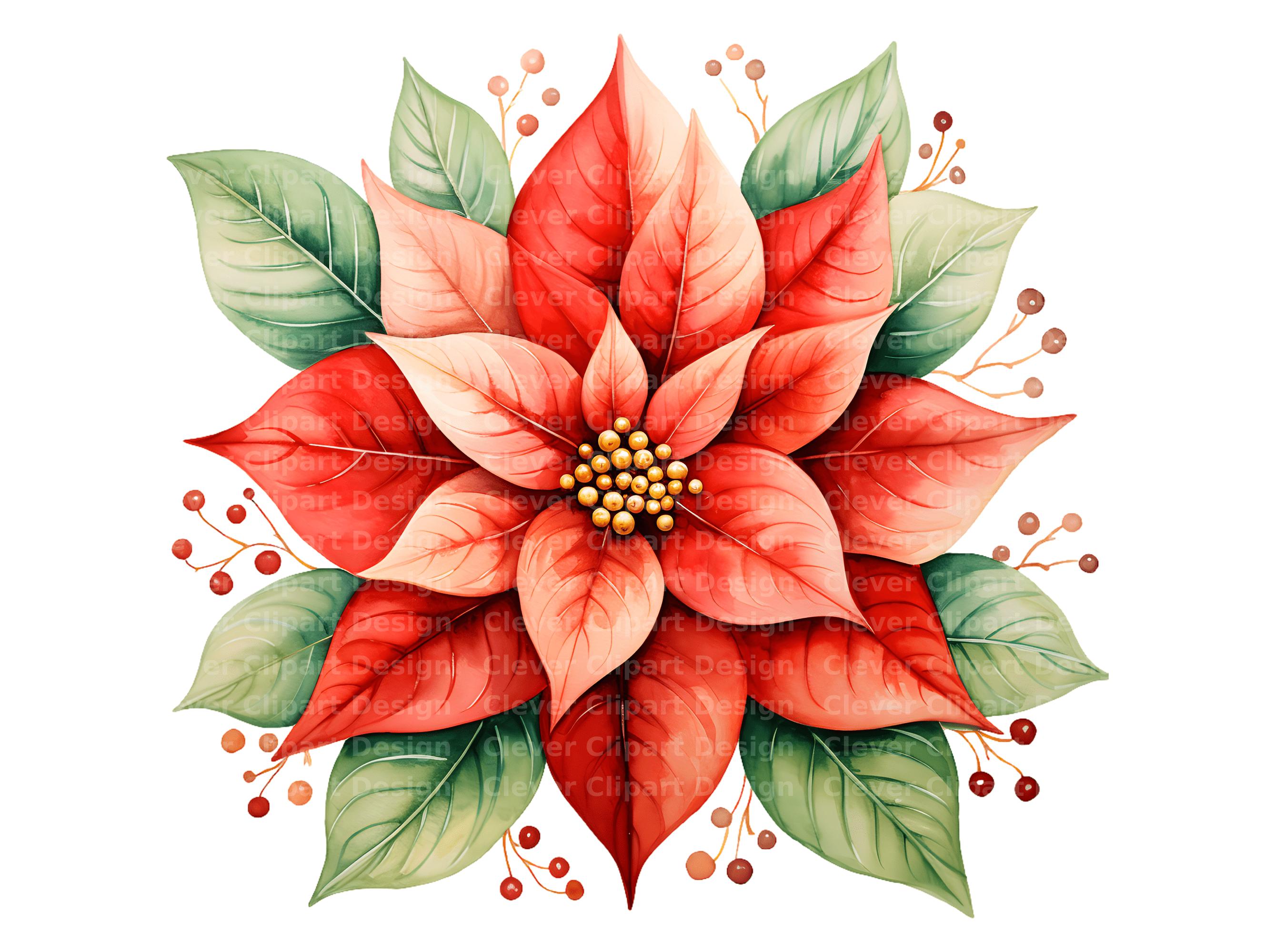 10 Christmas Poinsettia Clipart, Christmas Floral Clipart, Christmas ...