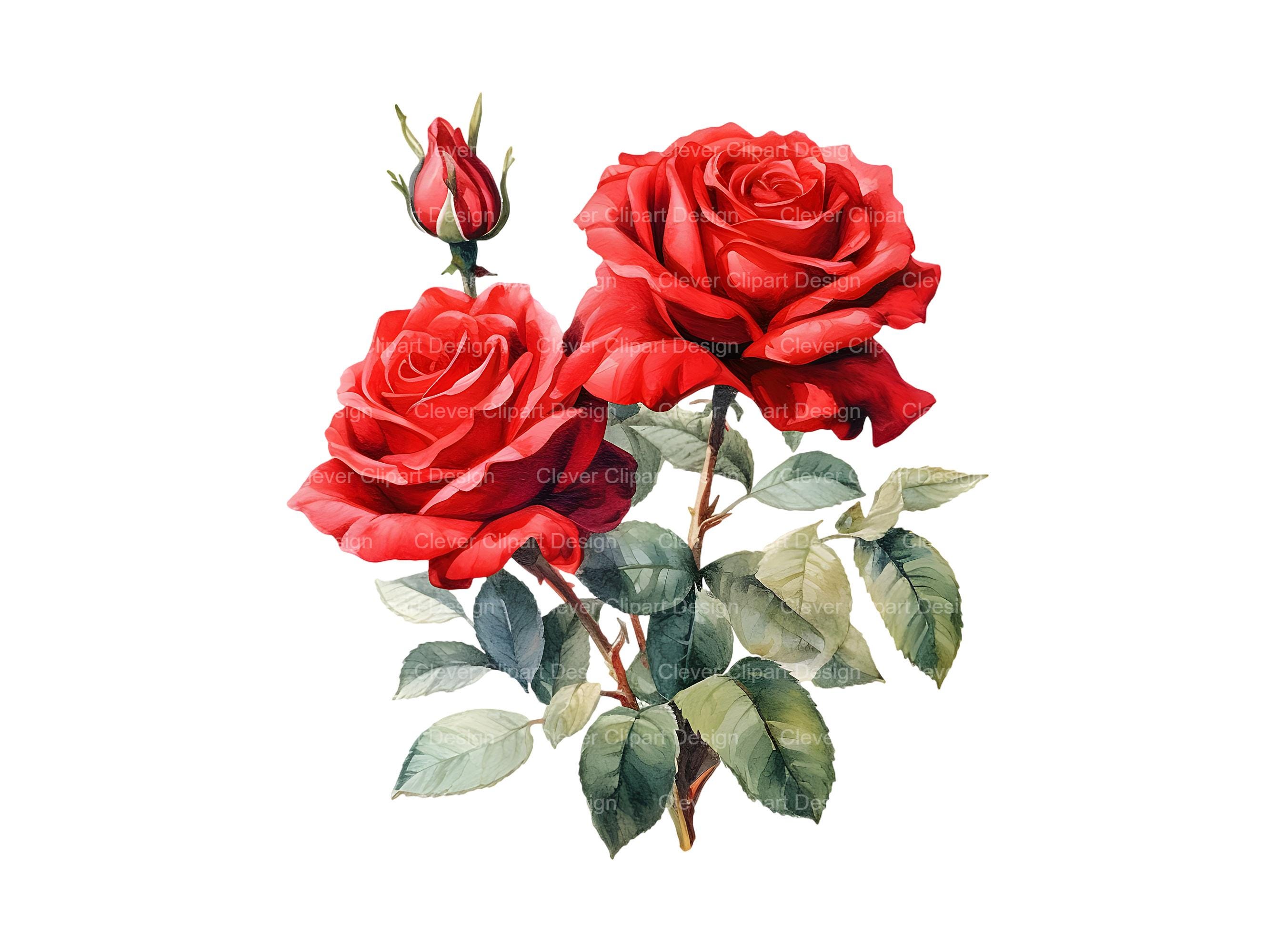 10 Red Roses Clipart, Floral Clipart, Roses Bouquet, Red Roses ...