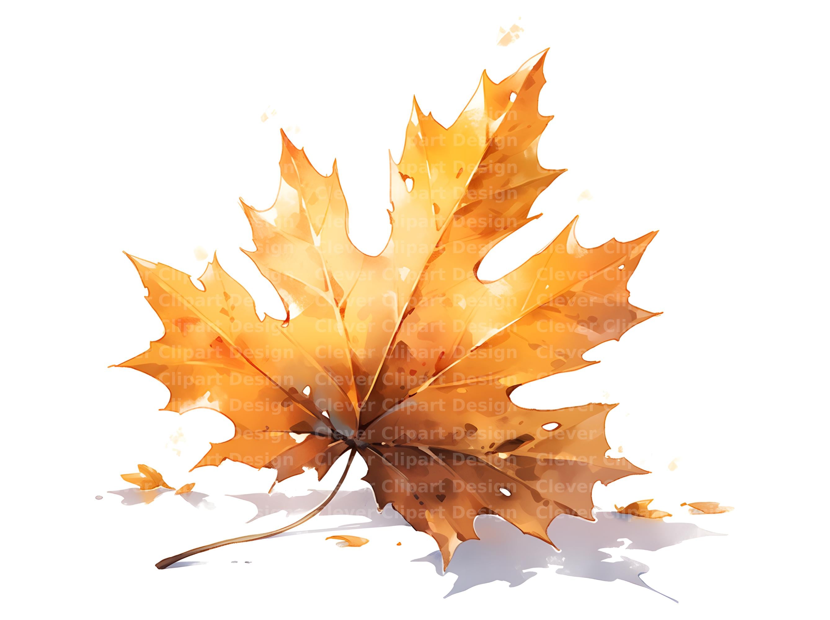 10 Autumn Leaves Clipart, Fall Leaf Clipart, Watercolor Leaf Clipart ...