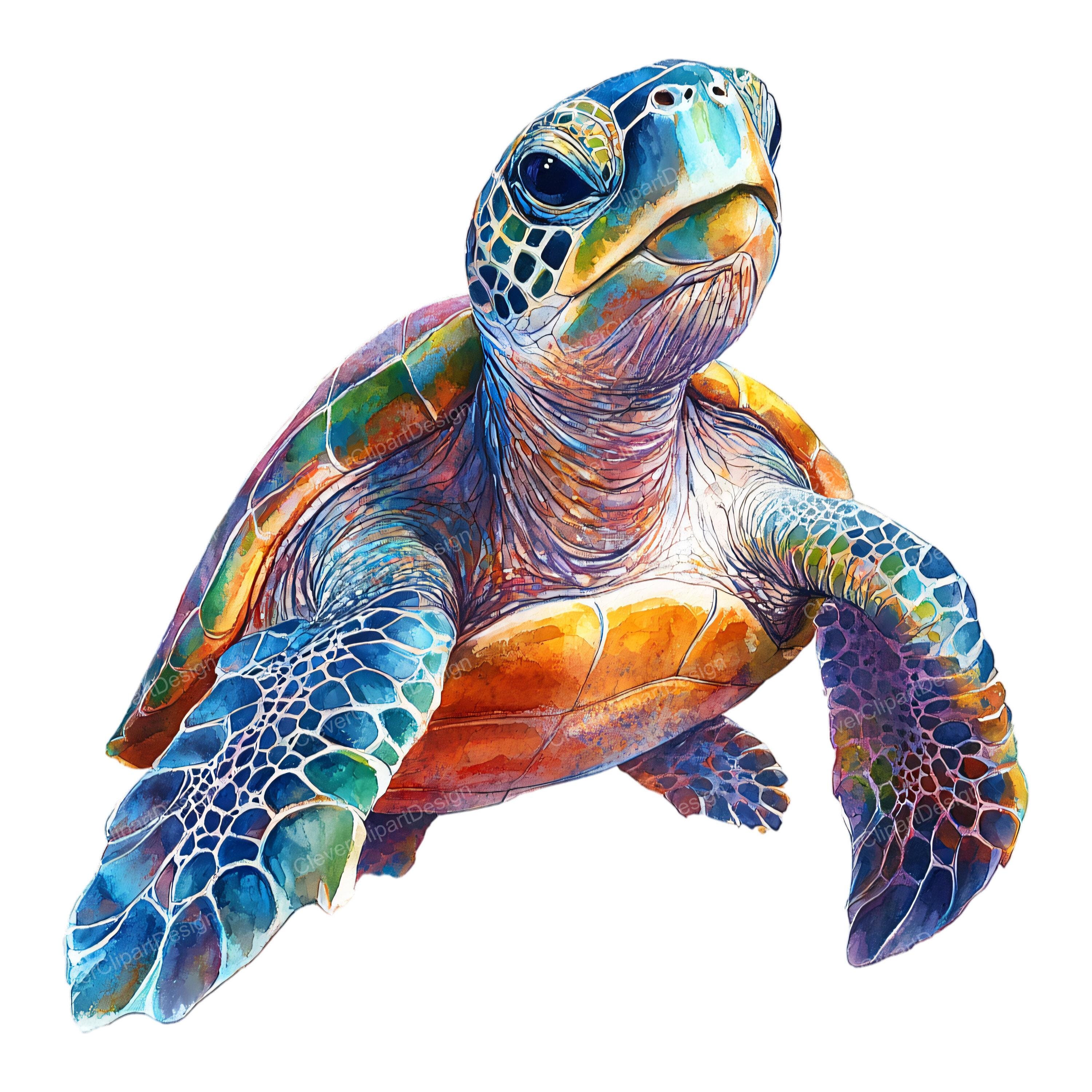 10 Watercolor Sea Turtle Clipart - Marine Life, Ocean Animal Art (PNG ...