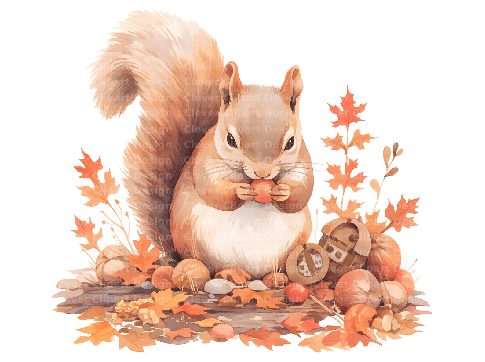 10 Autumn Squirrel Clipart, Fall Squirrel, Leaf, Printable Watercolor ...