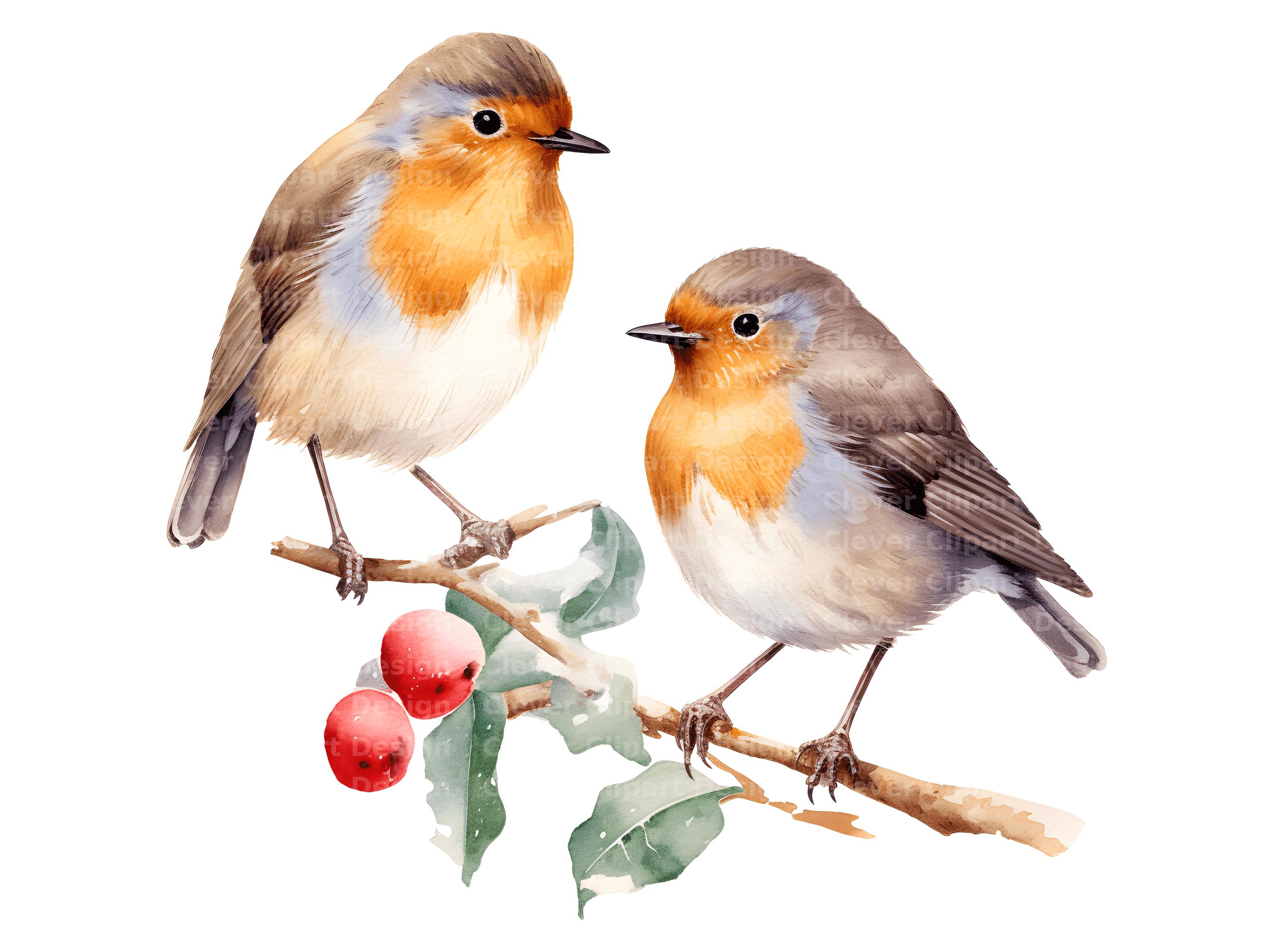 10 Christmas Robin Clipart, Winter Robin PNG, Robin Couple Clipart ...