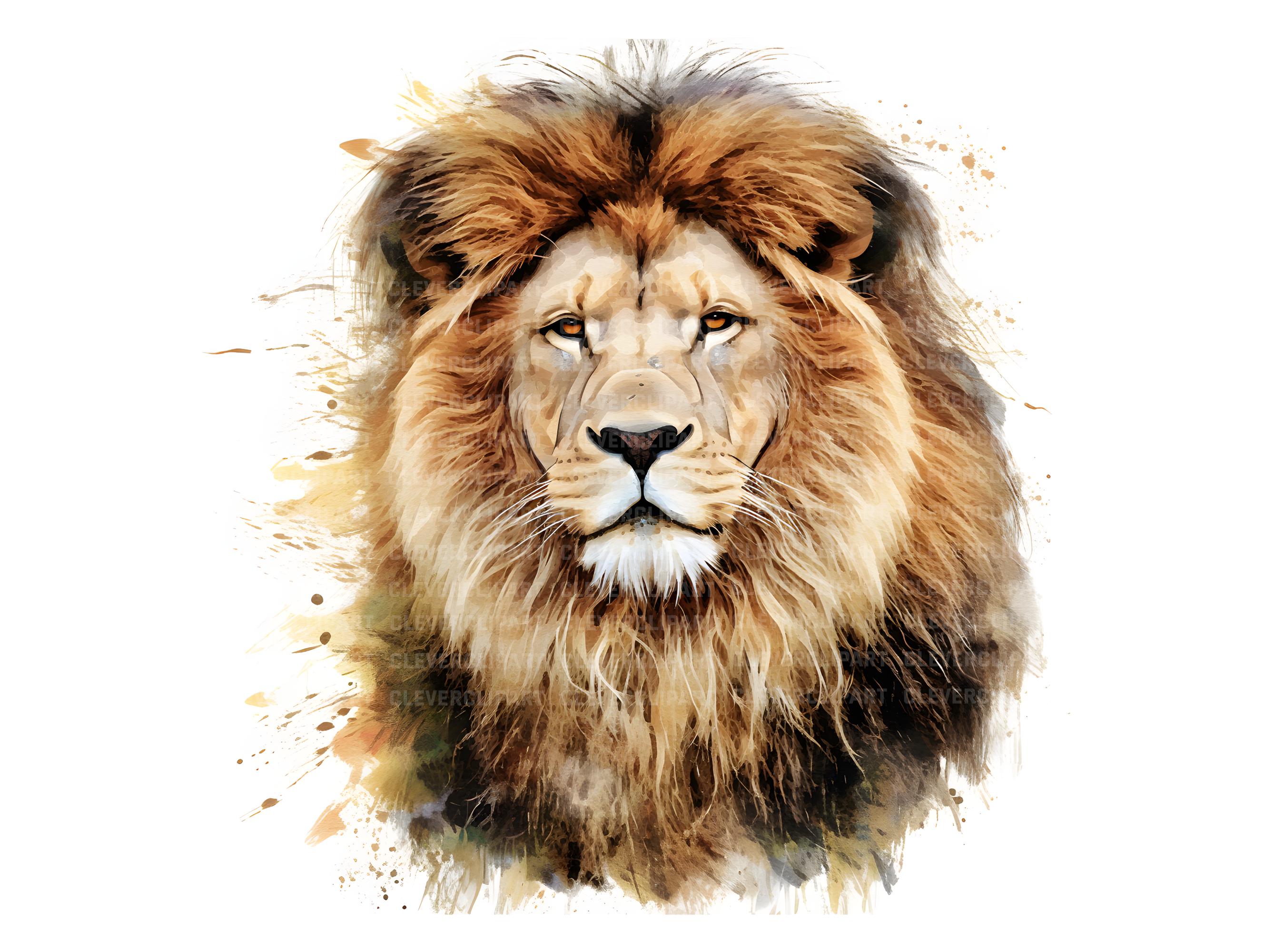 10 Lion Face Clipart, Lion Face Closeup, Lion Face PNG, Lion ...