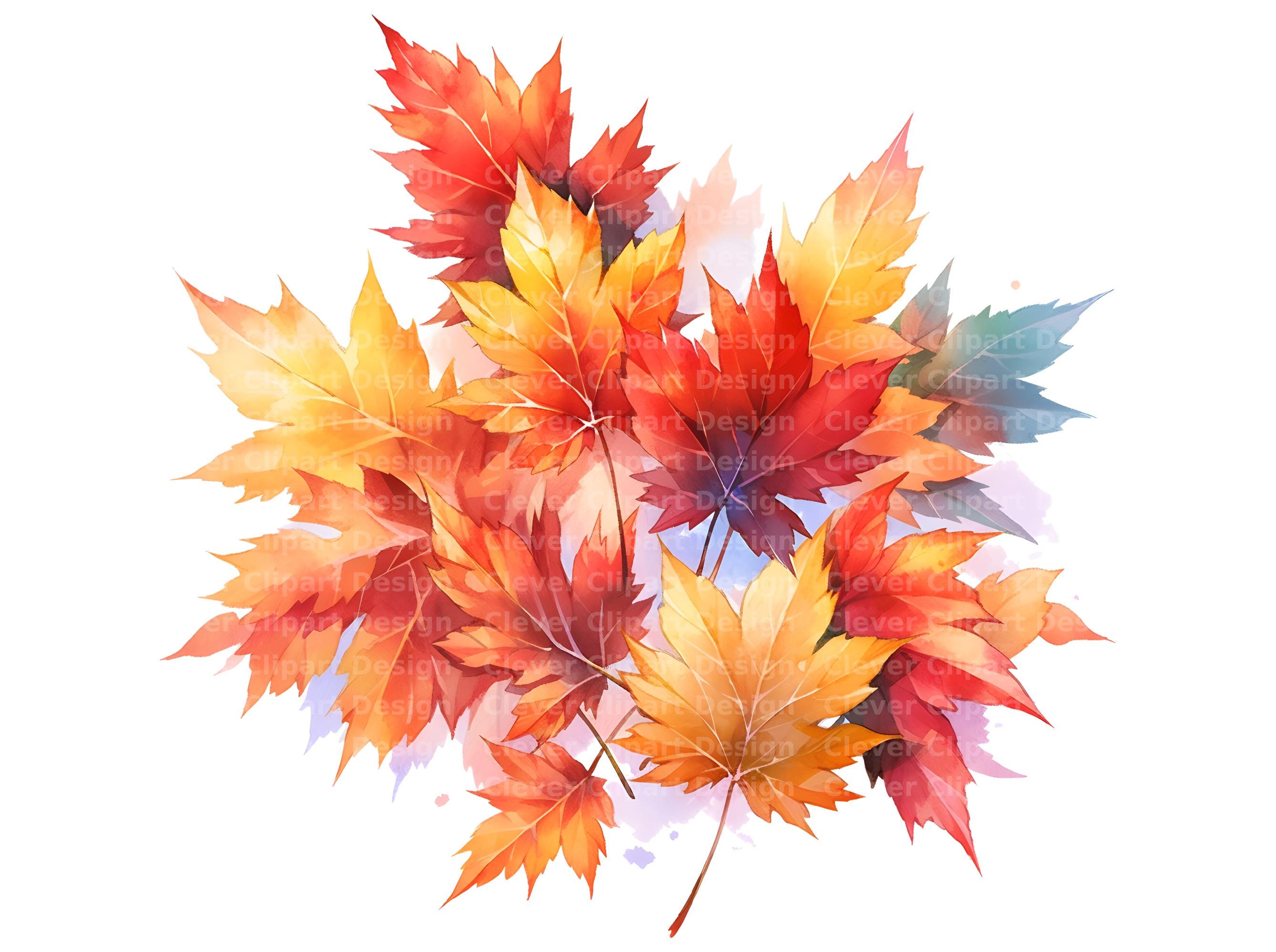 10 Autumn Leaves Clipart, Fall Leaf Clipart, Watercolor Leaf Clipart ...