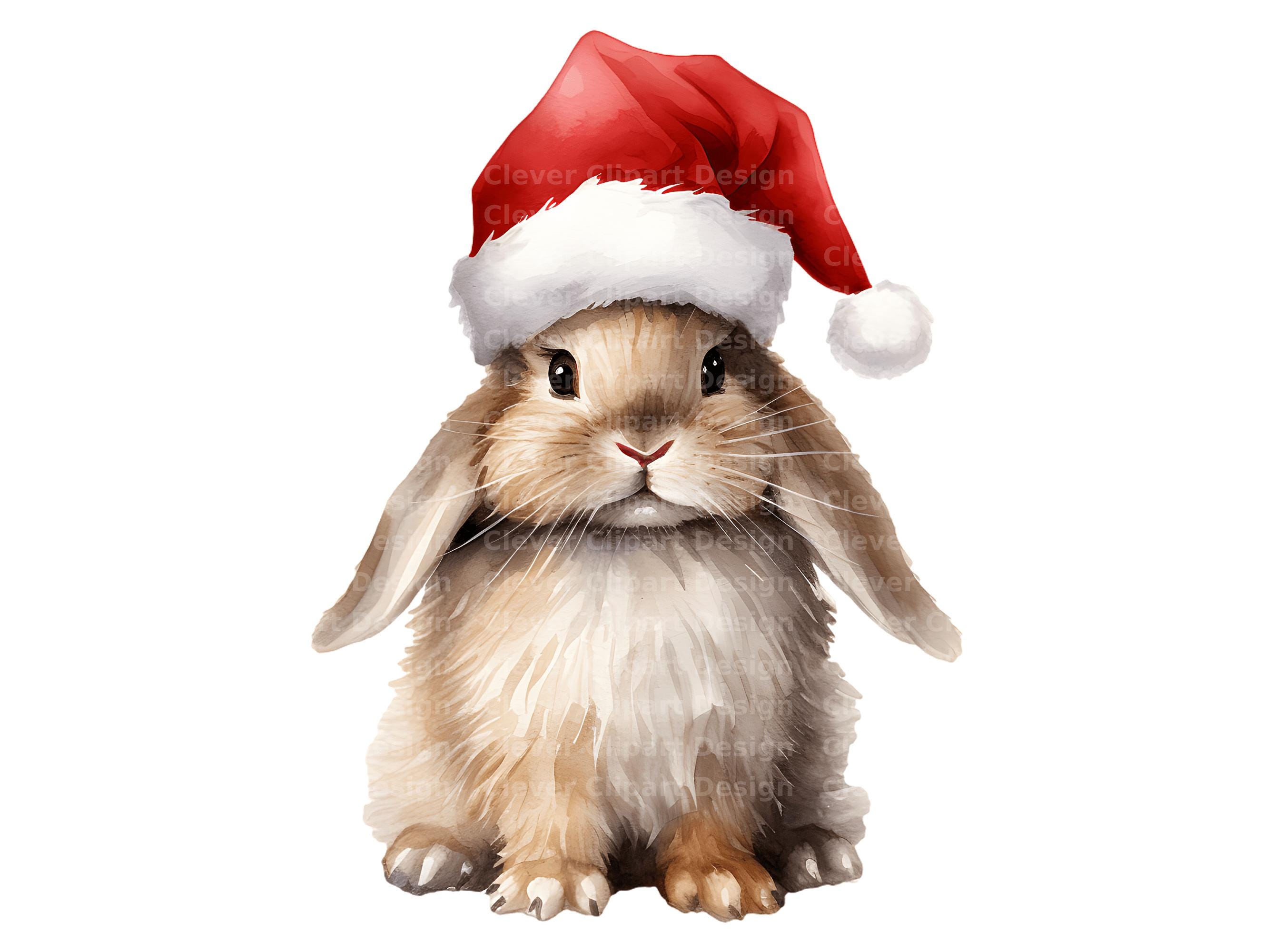 10 Fluffy Christmas Bunny Clipart, Bunny in Santa Hat, Christmas Bunny ...