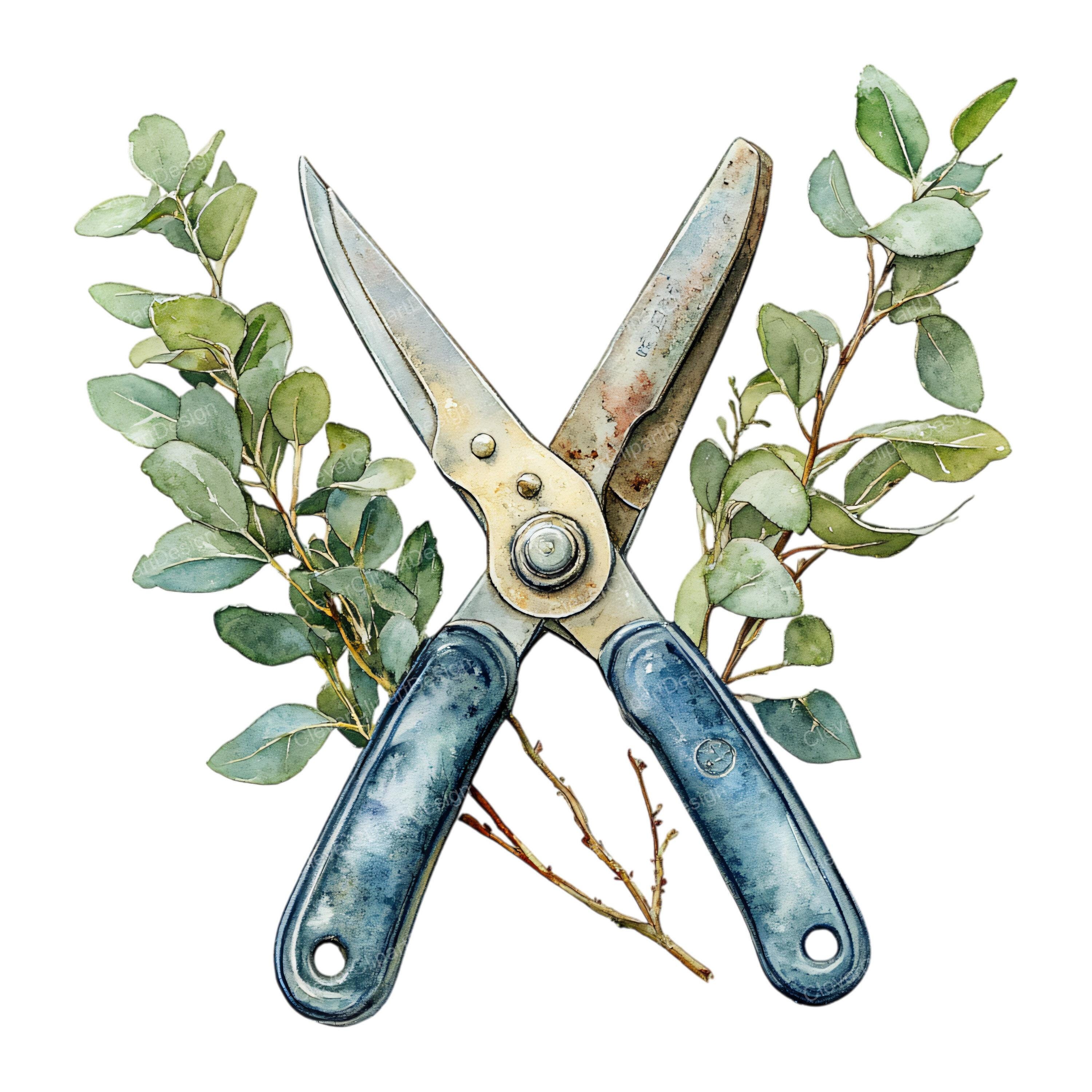 17 Gardening Tools Clipart - Vintage Watercolor Gardening Essentials ...