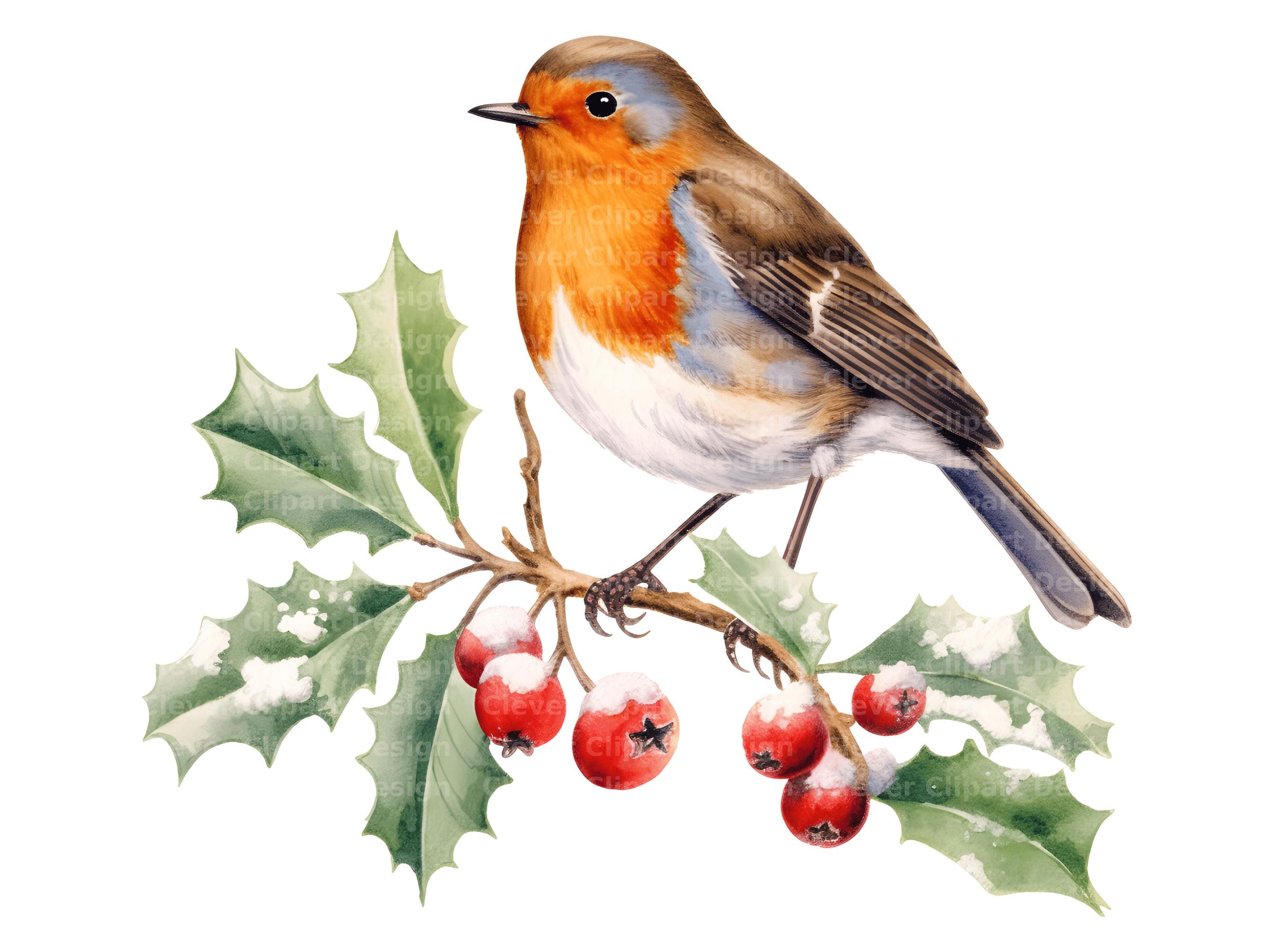 10 Christmas Robin Clipart, Winter Robin PNG, Robin Couple Clipart ...