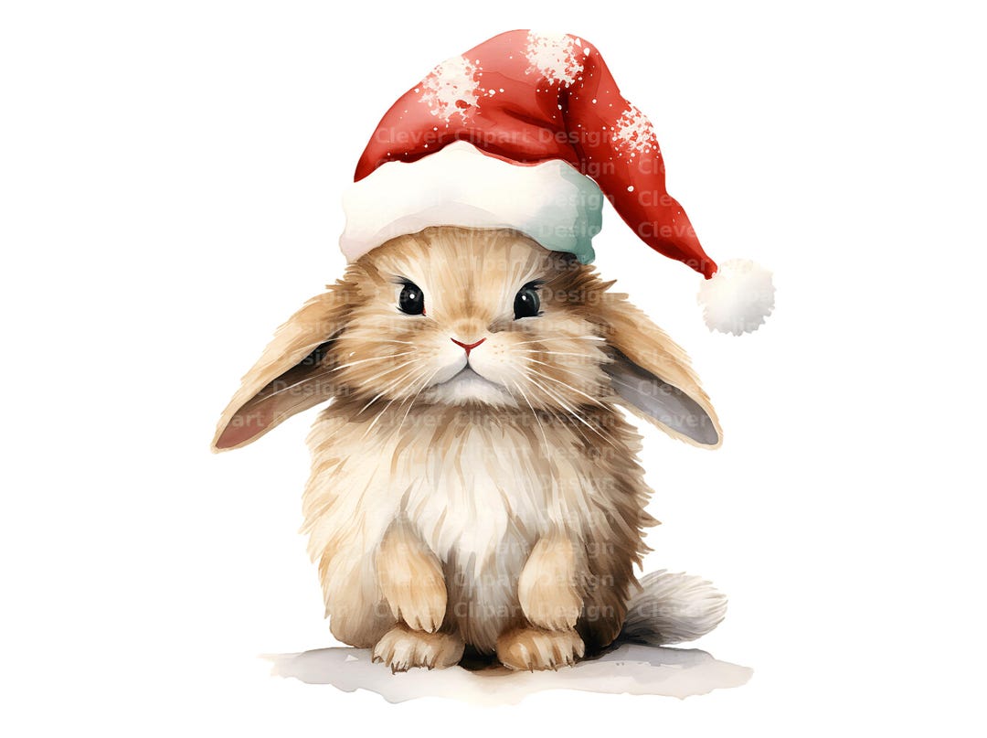 10 Fluffy Christmas Bunny Clipart, Bunny in Santa Hat, Christmas Bunny ...