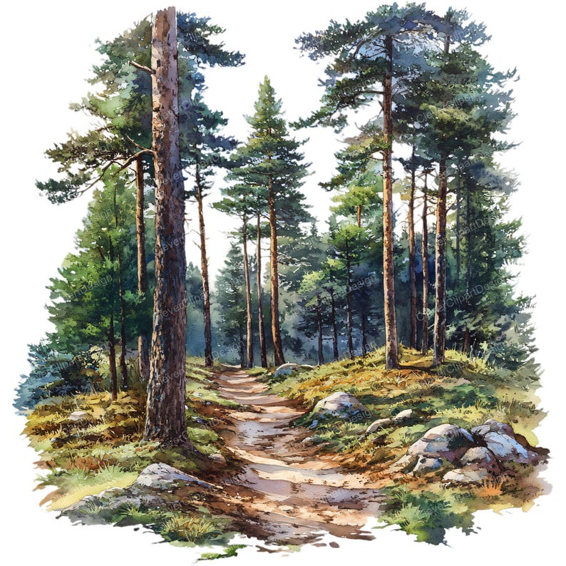 10 Forest Clipart - Watercolor Forest Trail, Woodland Path Picture (PNG ...