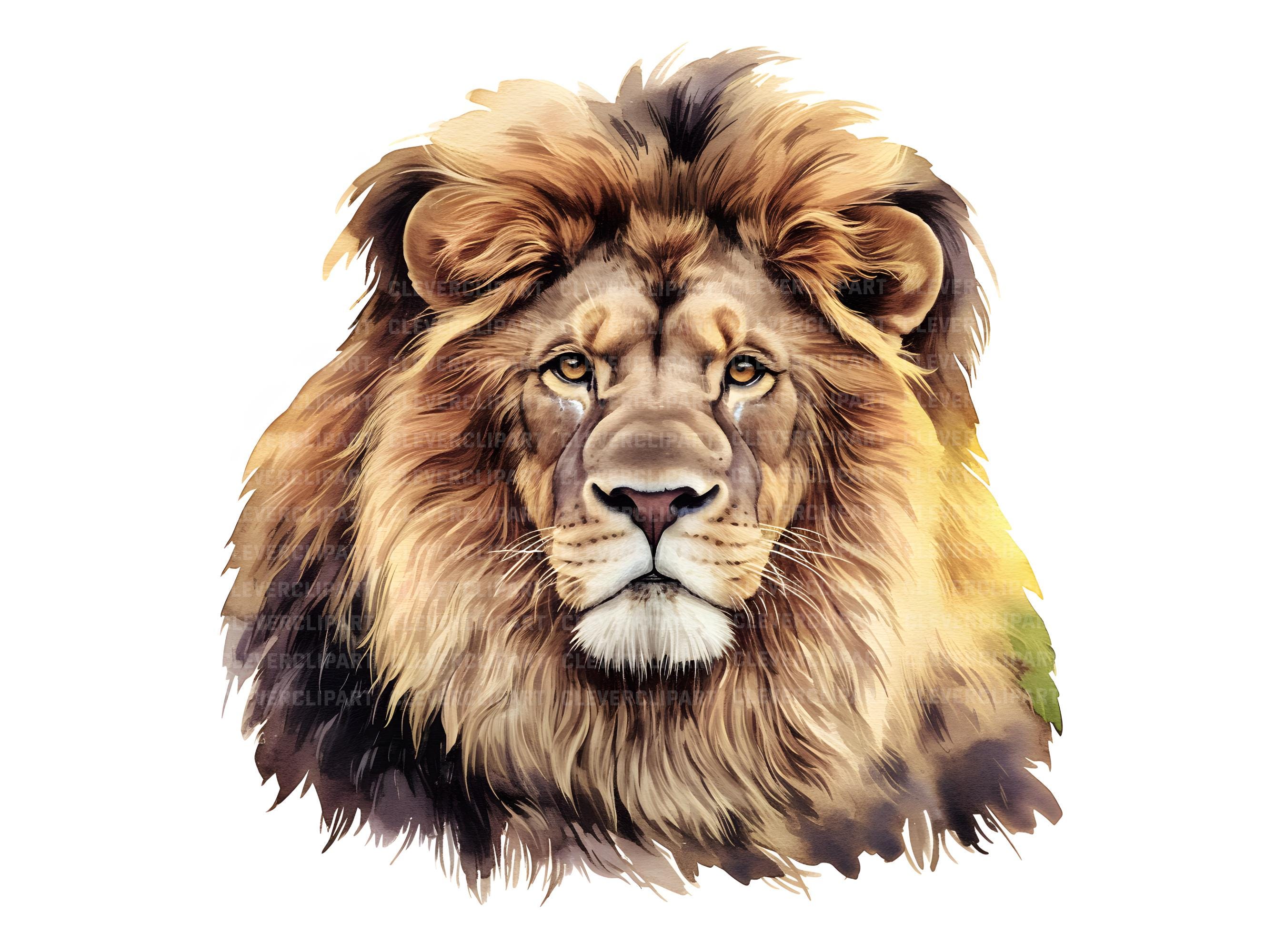 10 Lion Face Clipart, Lion Face Closeup, Lion Face PNG, Lion ...
