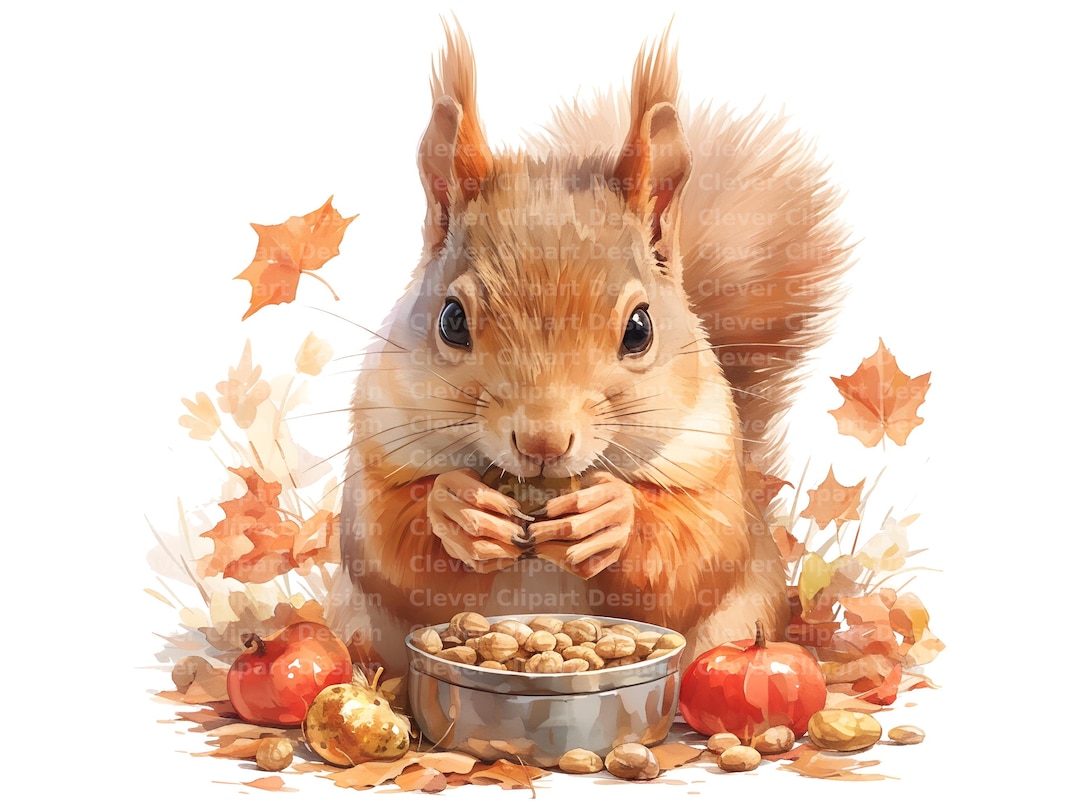 10 Autumn Squirrel Clipart, Fall Squirrel, Leaf, Printable Watercolor ...